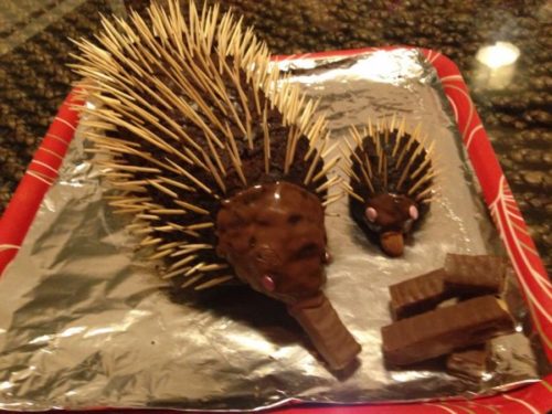 Echidna Cake Aldimum